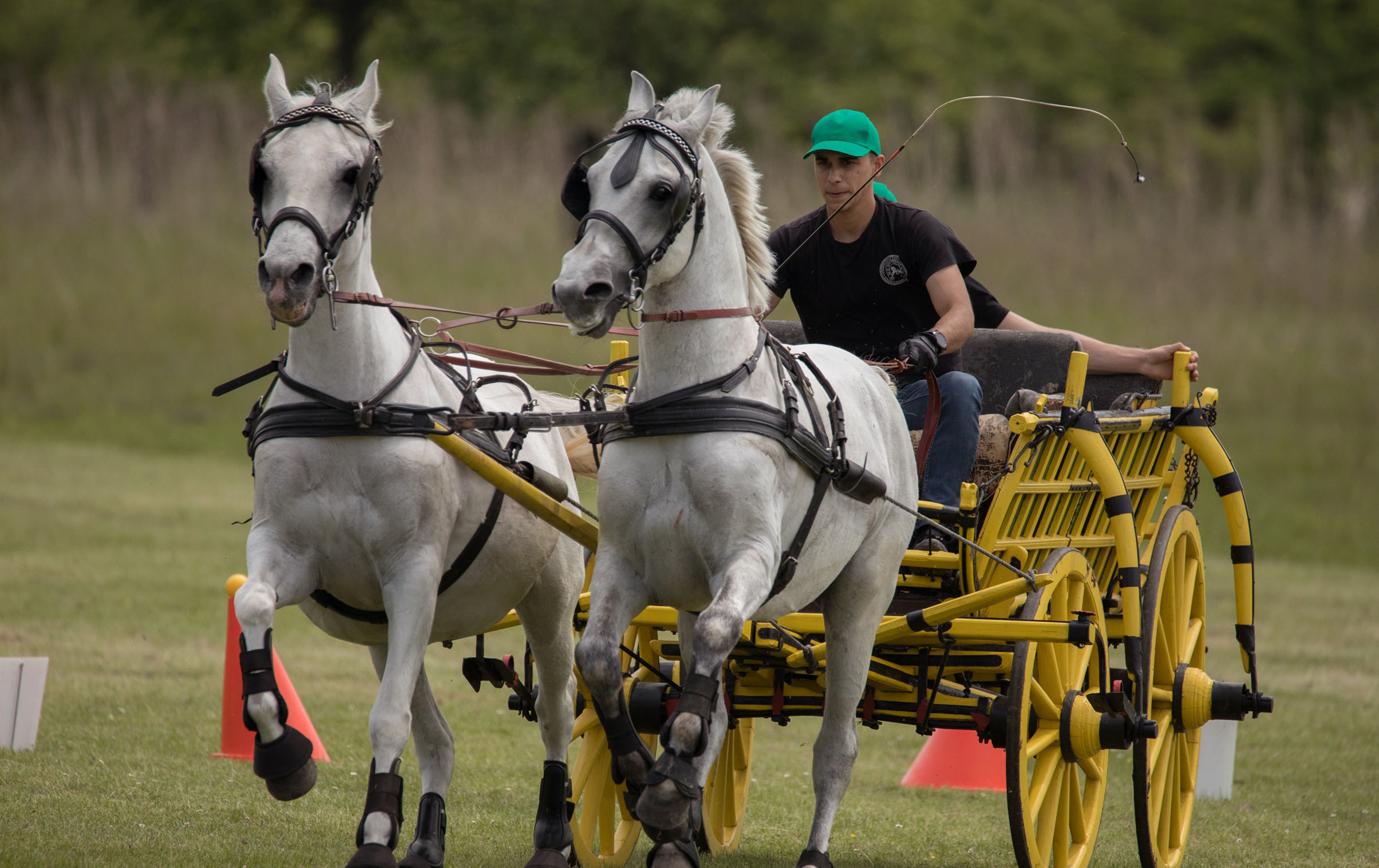 Naslovnica | Grad Otok